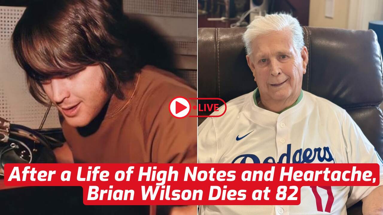 Brian Wilson Net Worth 2025: After A Life Of High Notes And Heartache ...